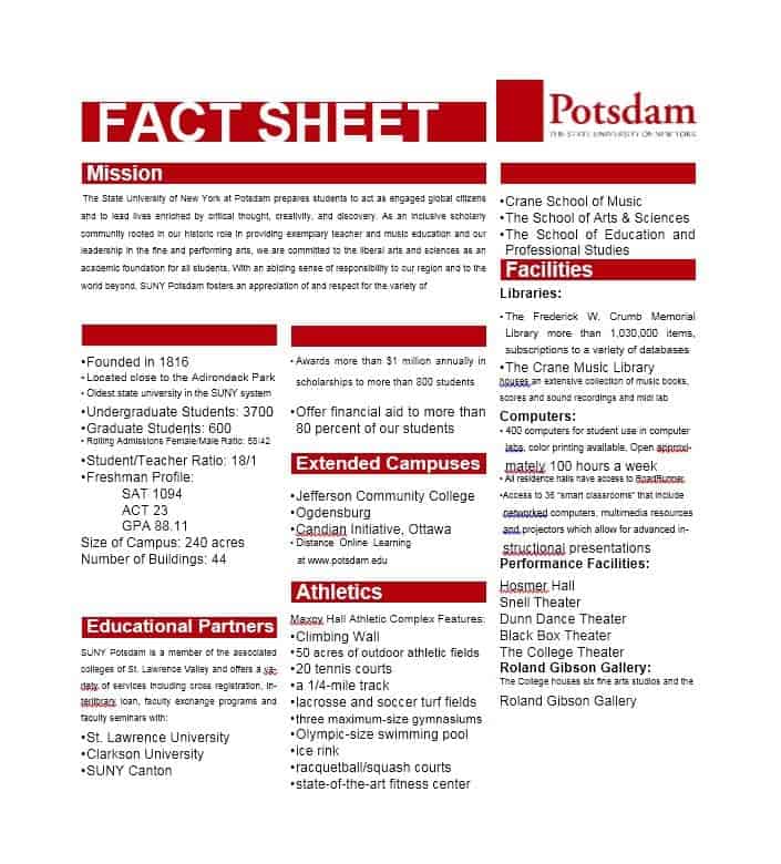 Microsoft Word Fact Sheet Template Microsoft Word Fact Sheet Template